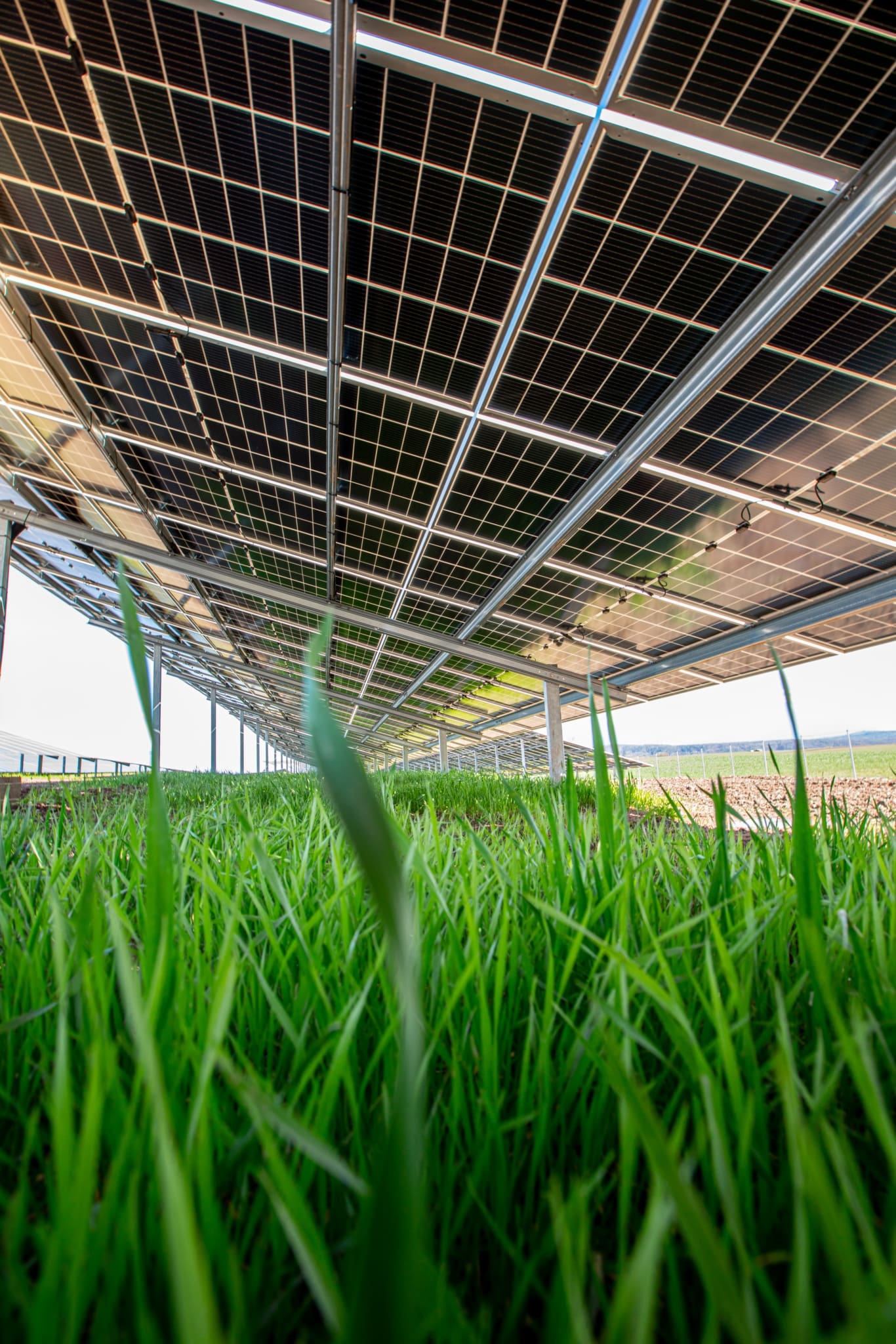 A citizens’ solar park for the holistic energy transition - Sunny. SMA ...